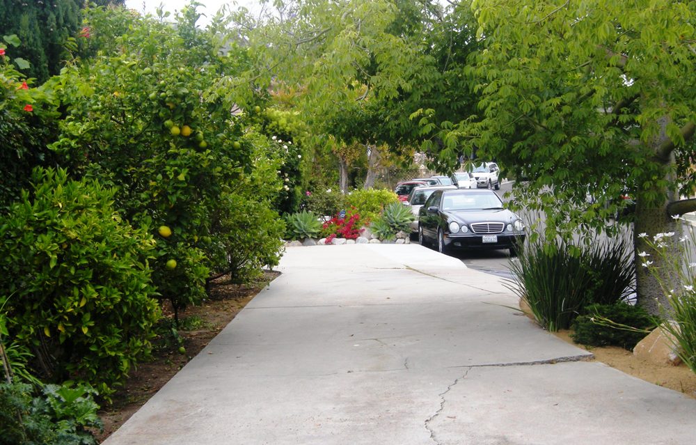 FUNdemento: Hidden Garden