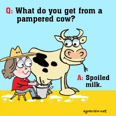 JOKE OF THE MONTH | Rotary Club of Fredericksburg Morning