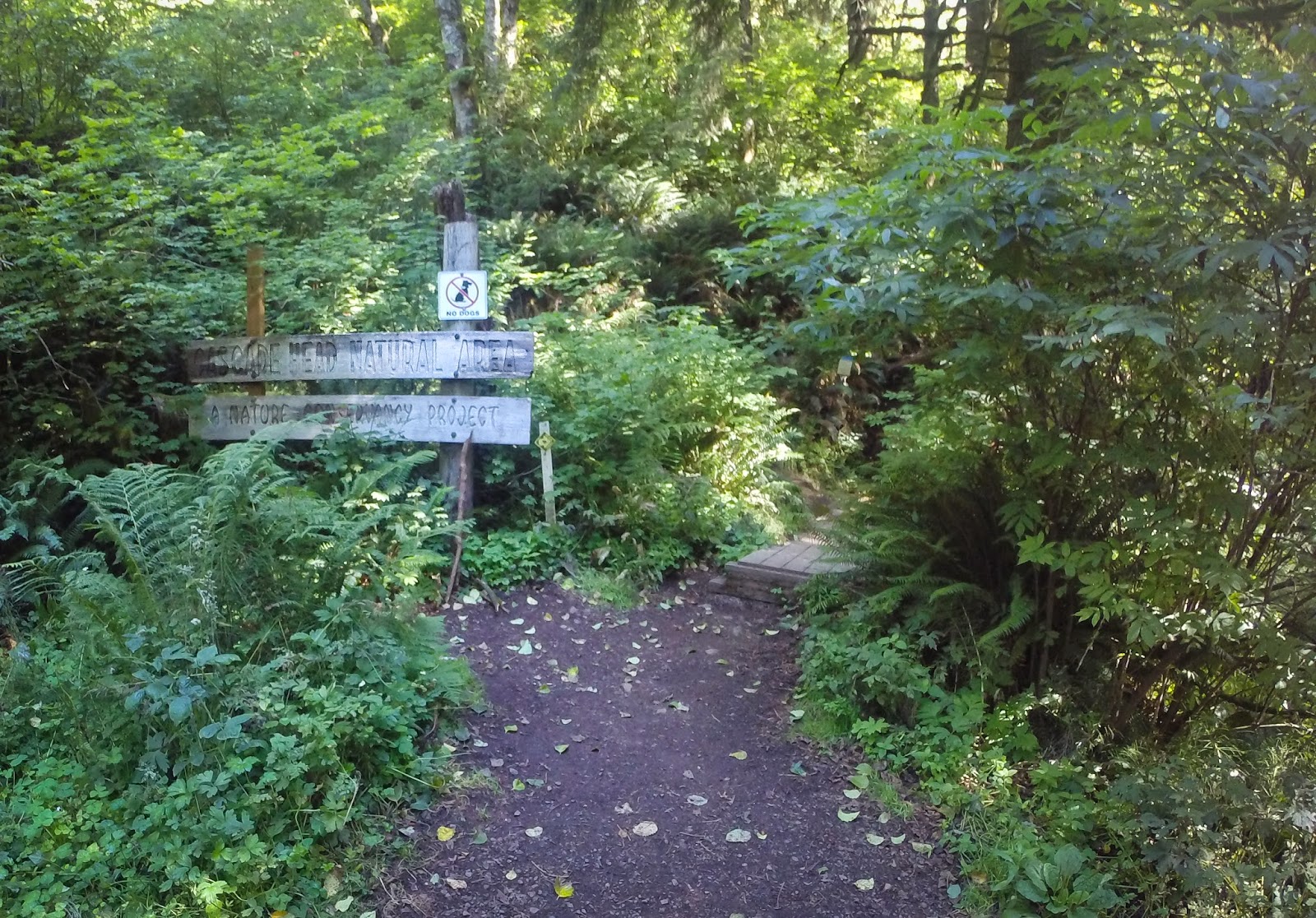 Hiking the Great Northwest: Cascade Head Hike