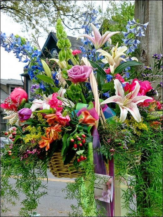 Tree of Life Meaning: Celebrate Spring and the Return of Summer this ...