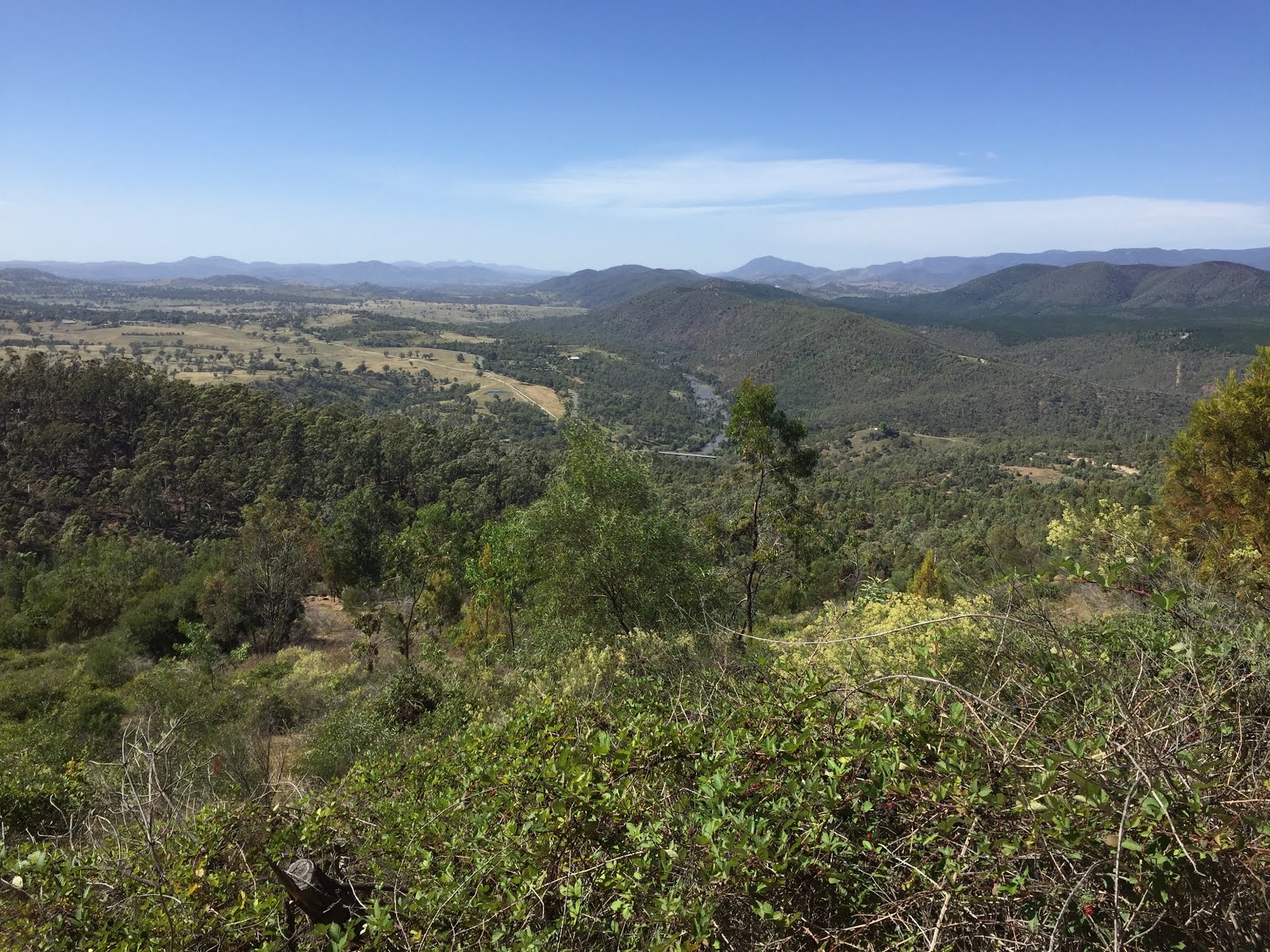 Phil's Bushwalking Blog: Uriarra Forest: Mt McDonald