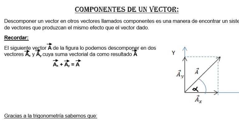 Componentes de un Vector ~ La Física en el Día a Día
