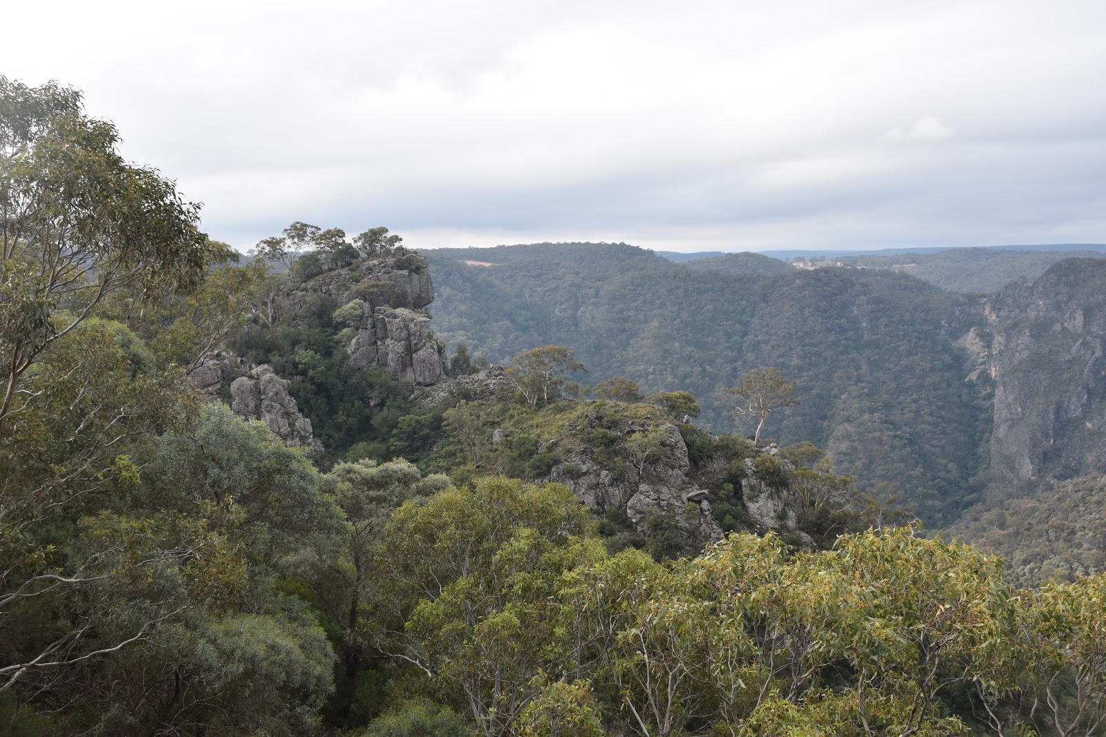 Travels: Bungonia Gorge