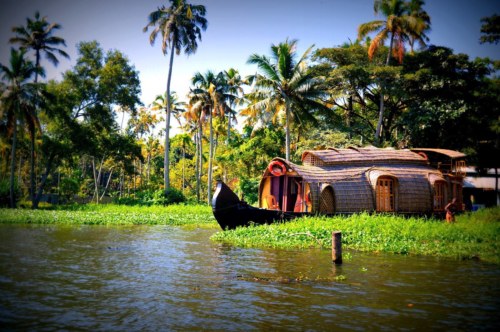 Amazing Facts About Kerala In Bengali amazing-facts-about-kerala-in-bengali