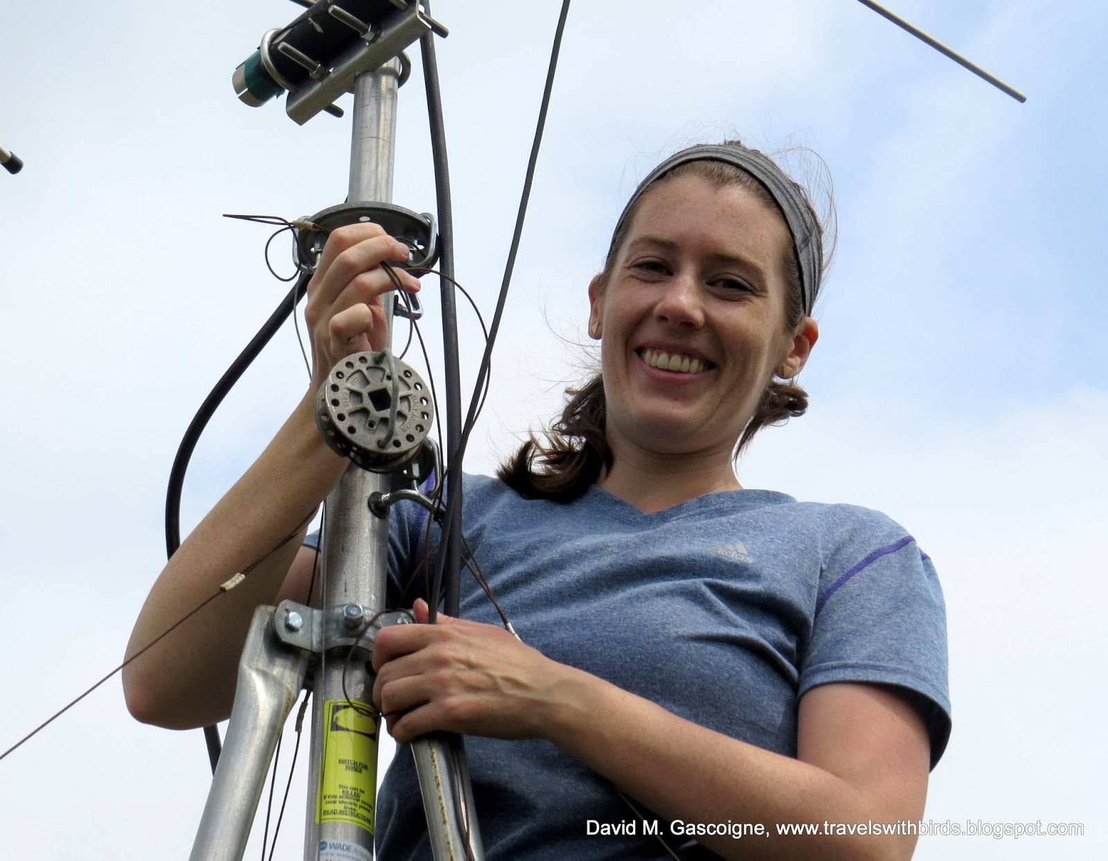 Installation of a MOTUS Tower at SpruceHaven - Travels With Birds