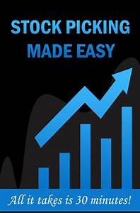 STOCK PICKING : IMPORTANT PARAMETERS - Niveshika