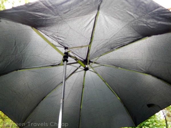 Review: The Better Umbrella from Cabeau - Shereen Travels Cheap
