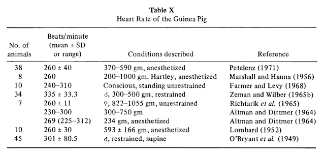 Cavy Savvy: A Guinea Pig Blog: Ask A Guinea Pig: Guinea Pig's Average ...