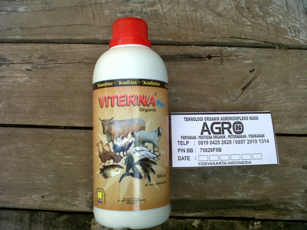 Harga Viterna,Kandungan Viterna Plus,Manfaat Viterna (Vitamin Ternak ...