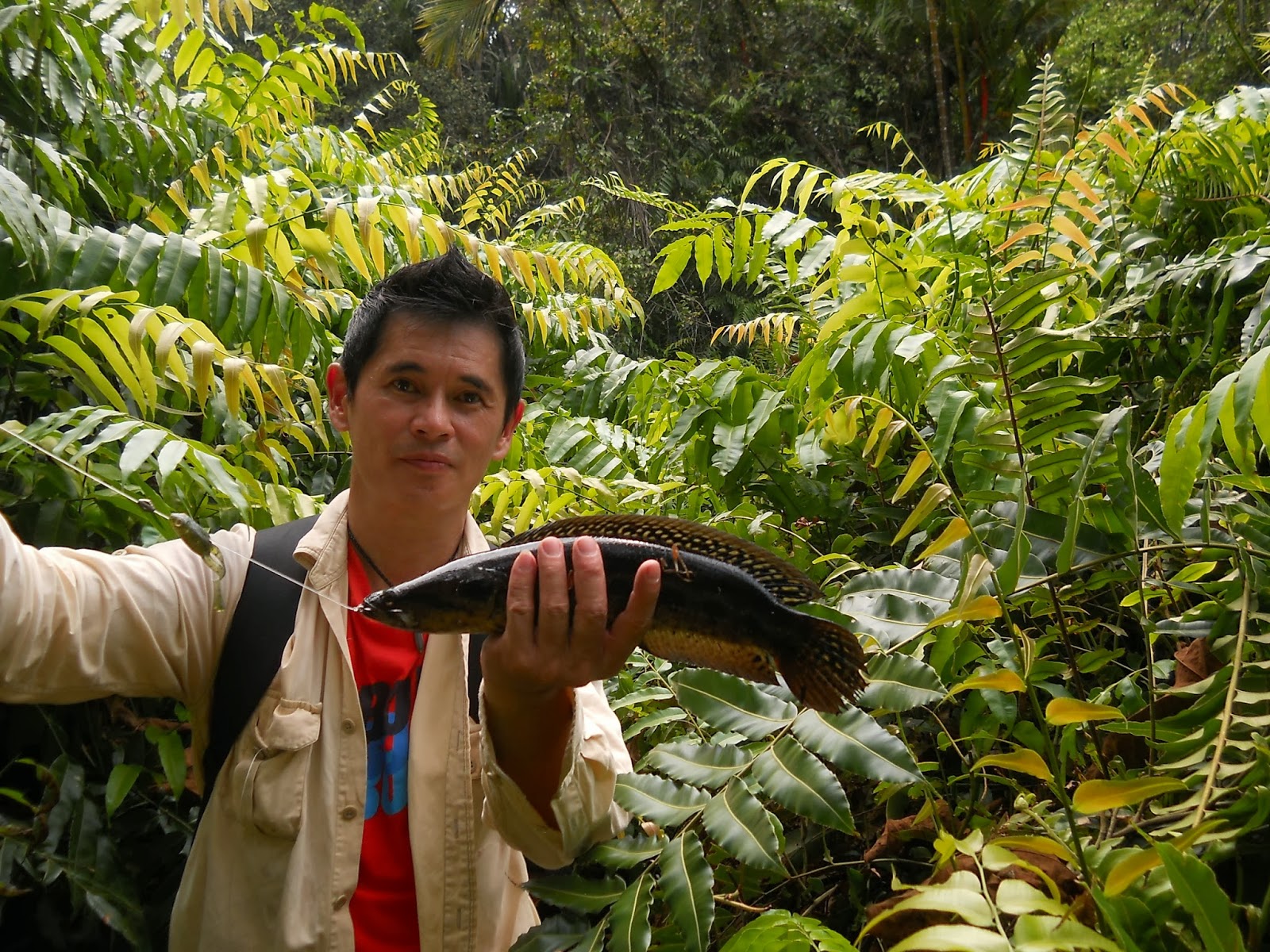 The Fishorian: BUJUK BATTLEGROUND