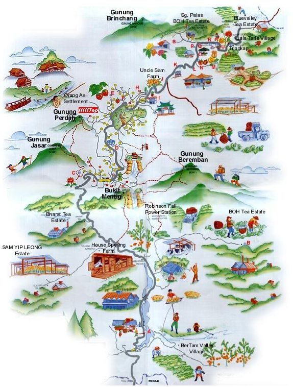 Cameron Highland Map