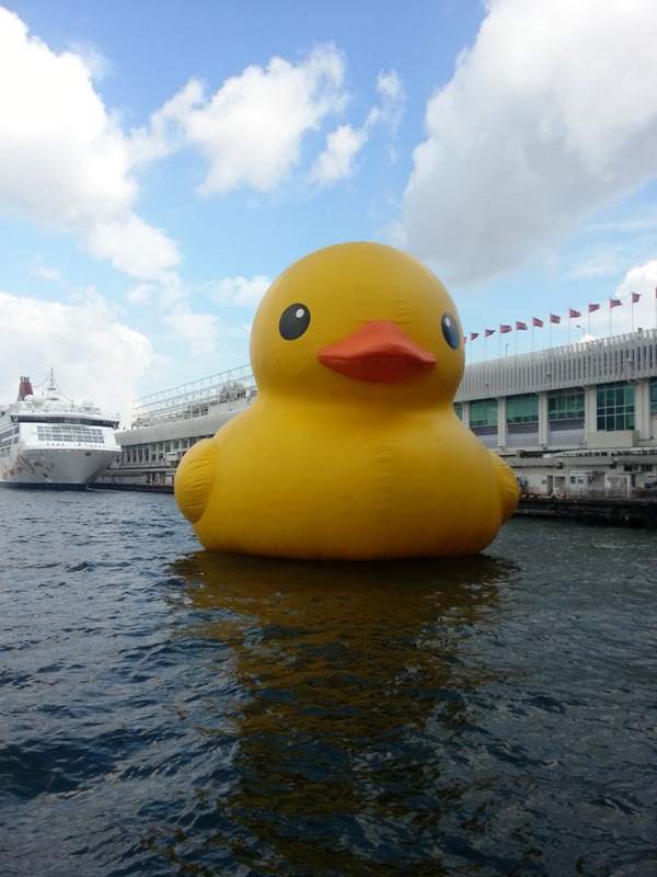 wandering... can't go home: Spotted - A giant Duck in Hong Kong