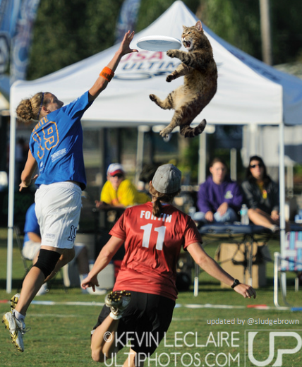 Sludge Output: C-A-T-c-h