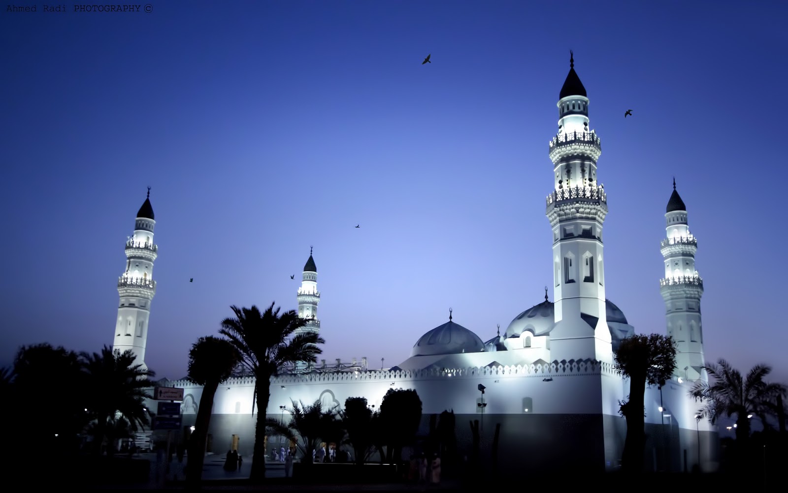 The City of Prophet MOHAMMAD (S.A.W): Masjid E QUBA (Qubaa Mosque)