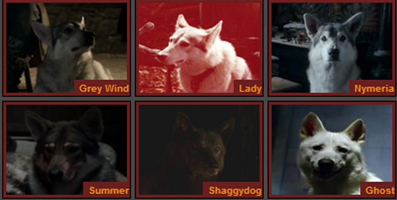 INNER TOOB: AS SEEN ON TV: THE DIRE WOLVES