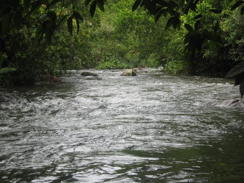 Sri Lankan Best Places: Natural bathing places in Sri Lanka-Paravithota ...