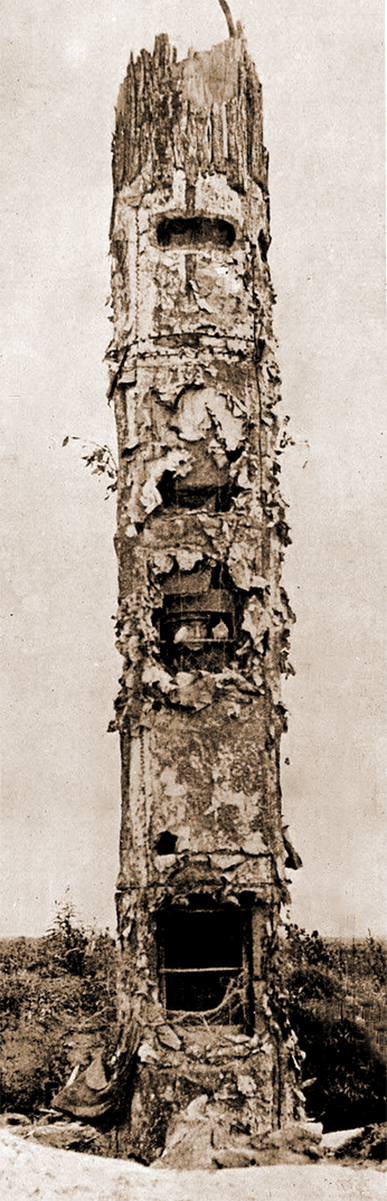 C A M O U P E D I A: WWI Camouflage, Motion Pictures and Surrealism