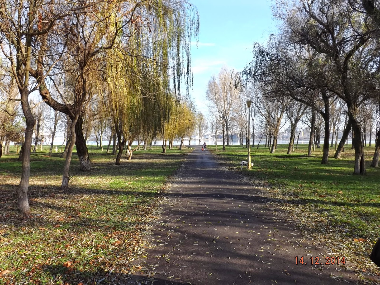 Gradinarit anotimp cu anotimp: O plimbare in parc