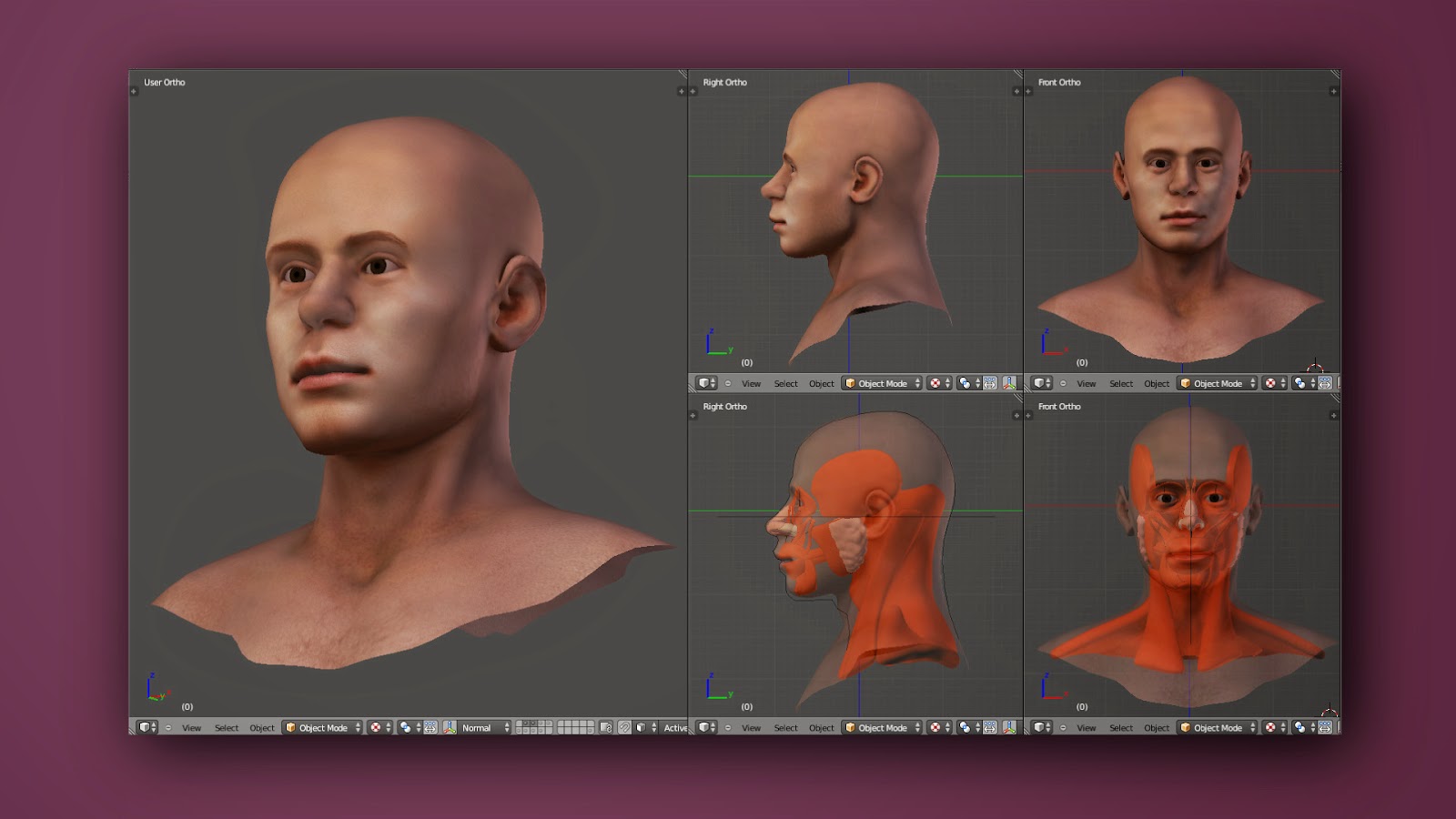 ATOR: Revealed the face of St. Anthony in 3D