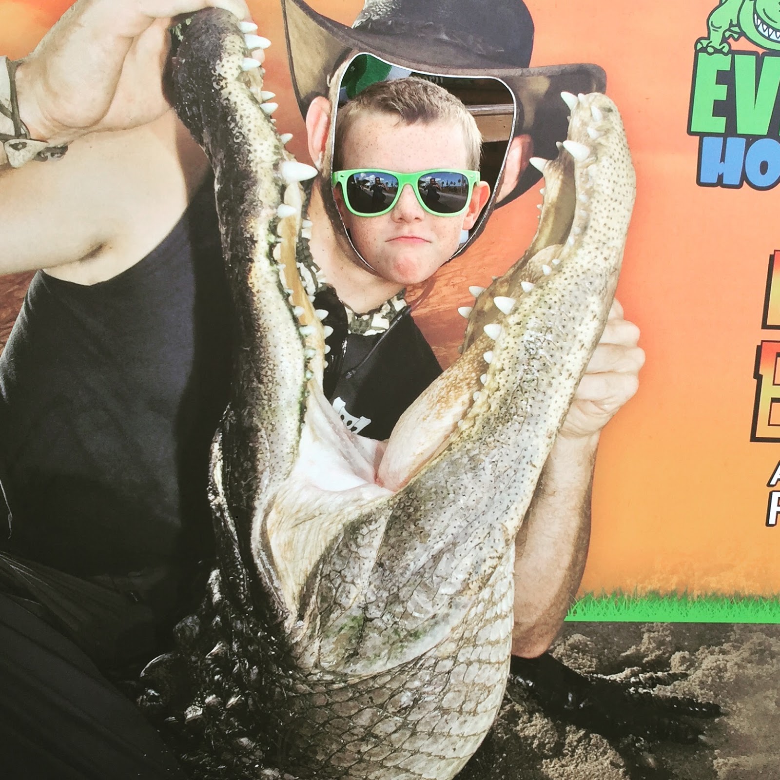 The Wandering Beaver