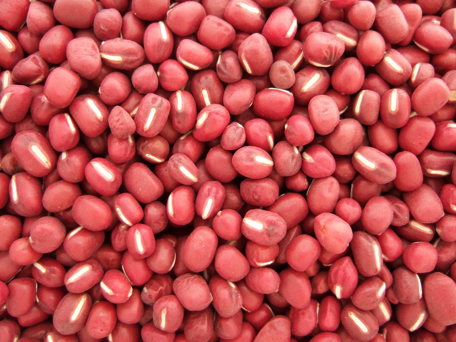 Azuki Beans - Fruits And Vegetables