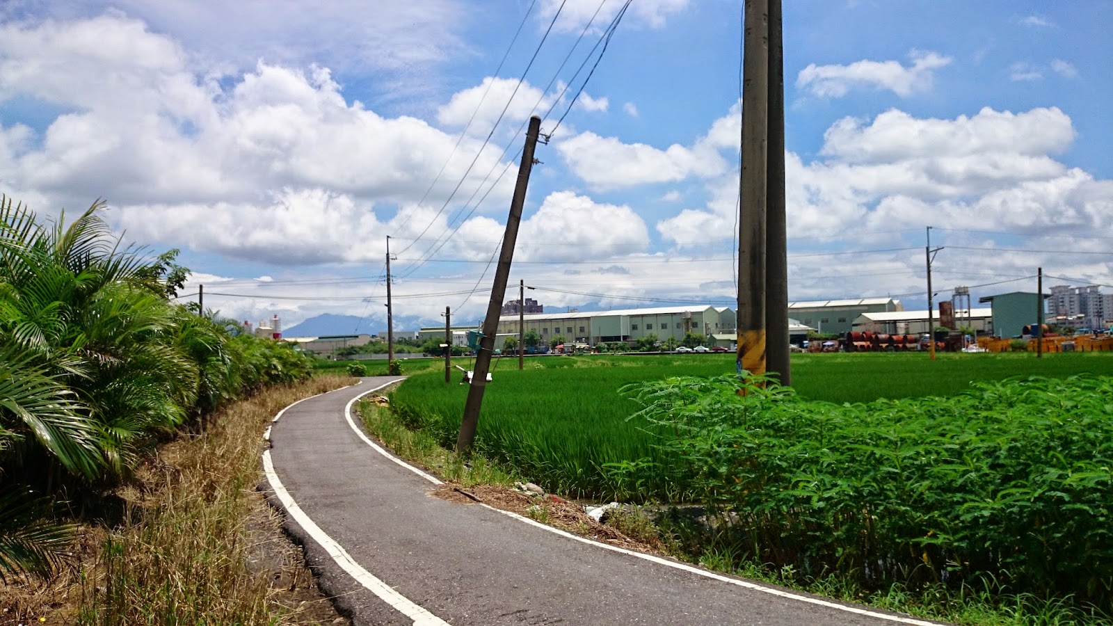 Estudiando Agricultura en Taiwán: Calles Rurales de Taiwán