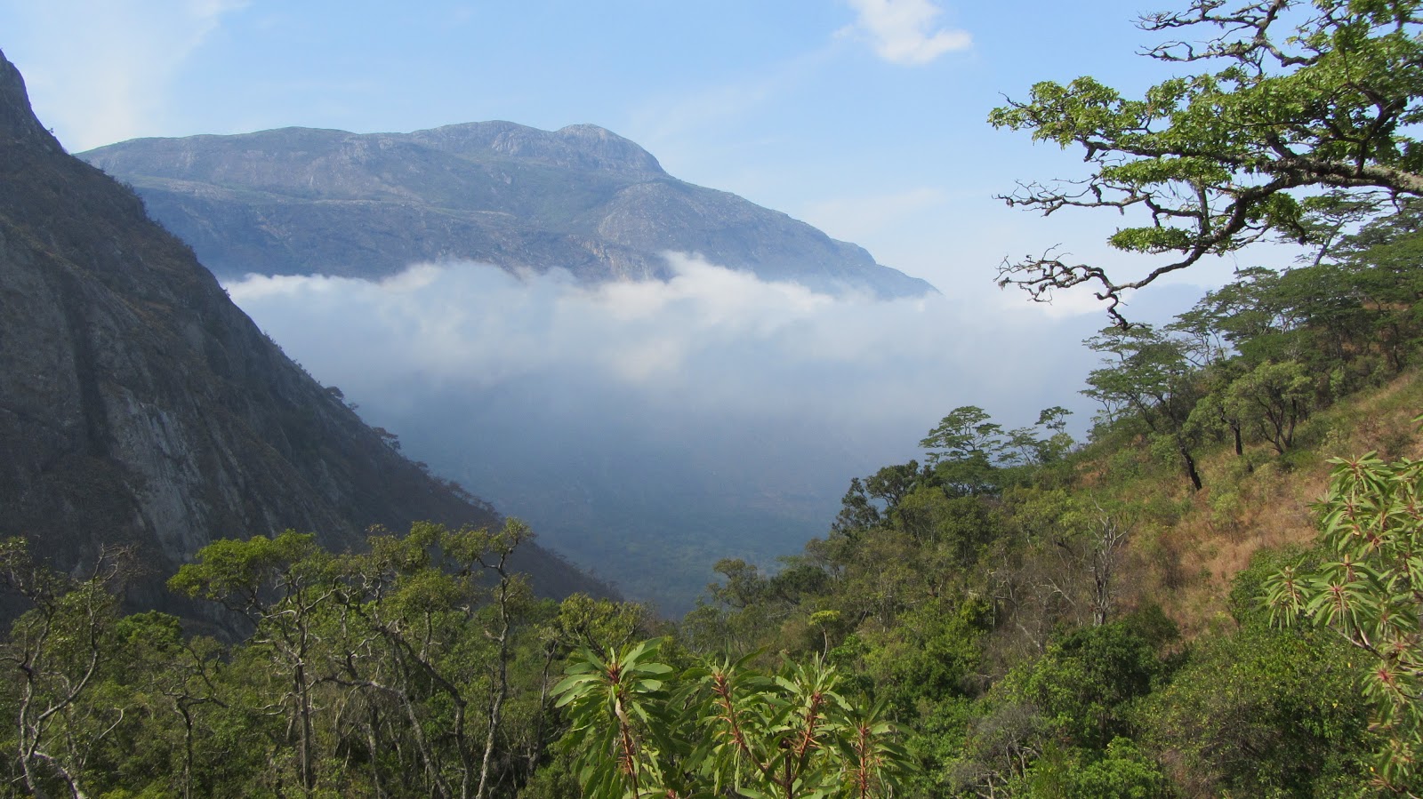 Long road up: Island in the Sky - Mount Mulanje