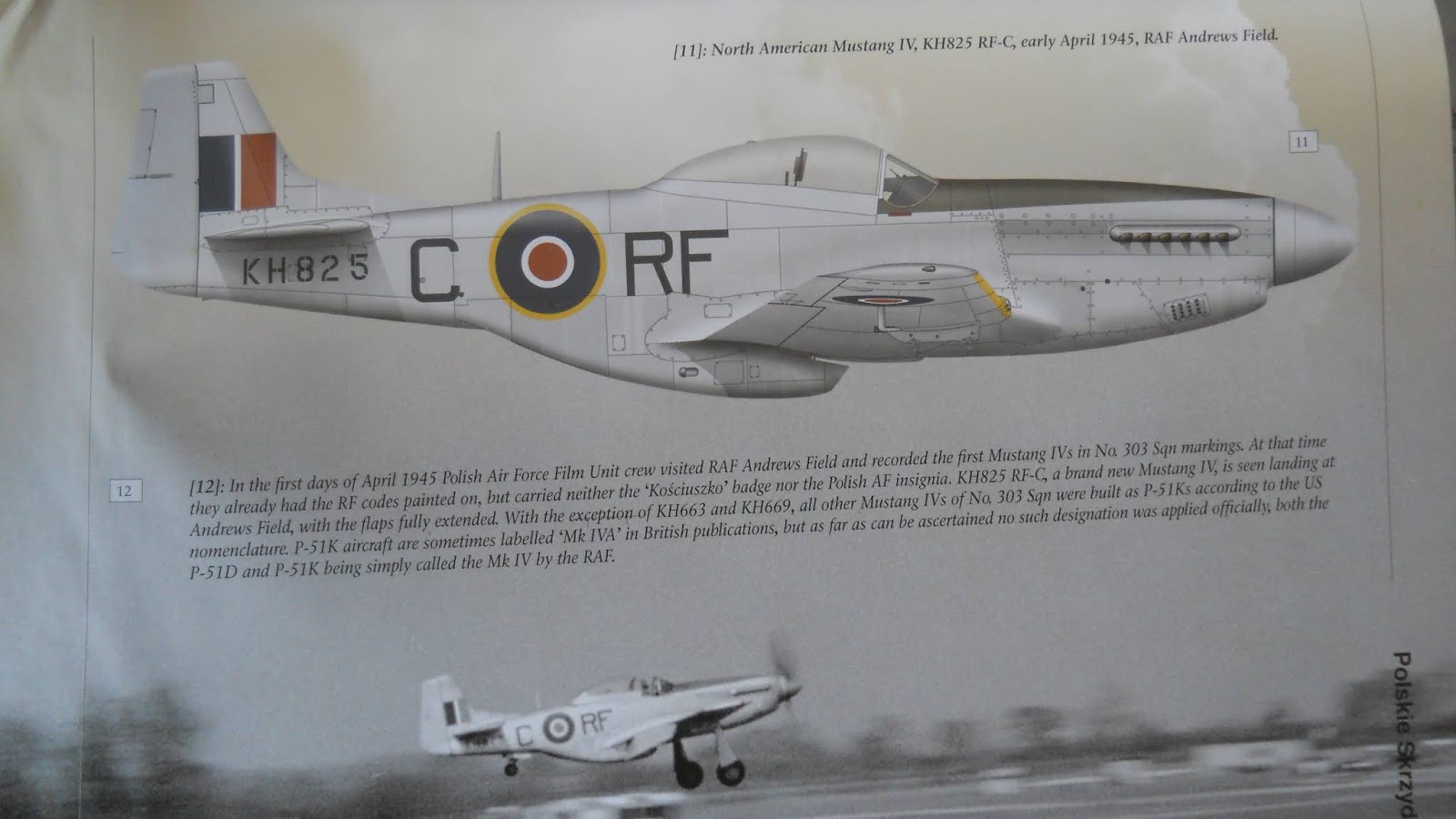 Scale Model Kit Review Blog (SMKR): MMP Books Polish Wings 23 - 303 ...