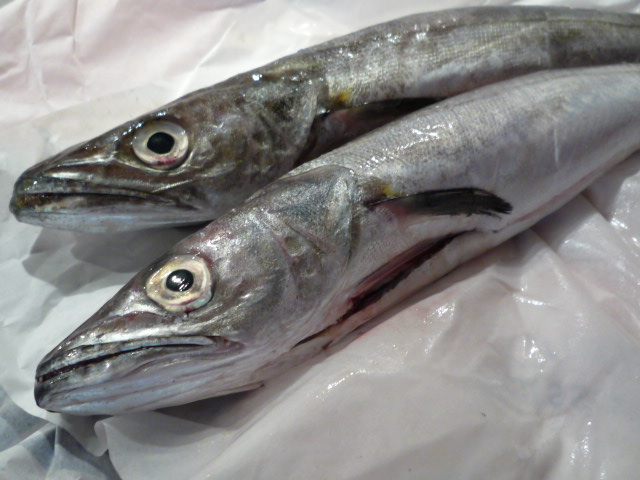 Bolli's Kitchen: Merluchon aux tomates - Kleiner Seehecht mit Tomaten