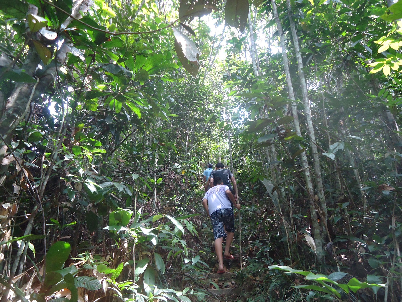 Viagem a Silves / Amazonas - Fotos minhas. | SkyscraperCity Forum