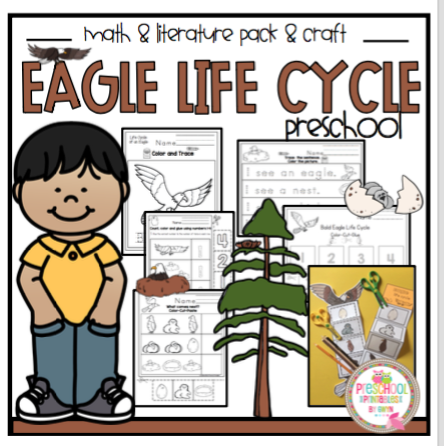 Life Cycle of a Bald Eagle ~ Preschool Printables