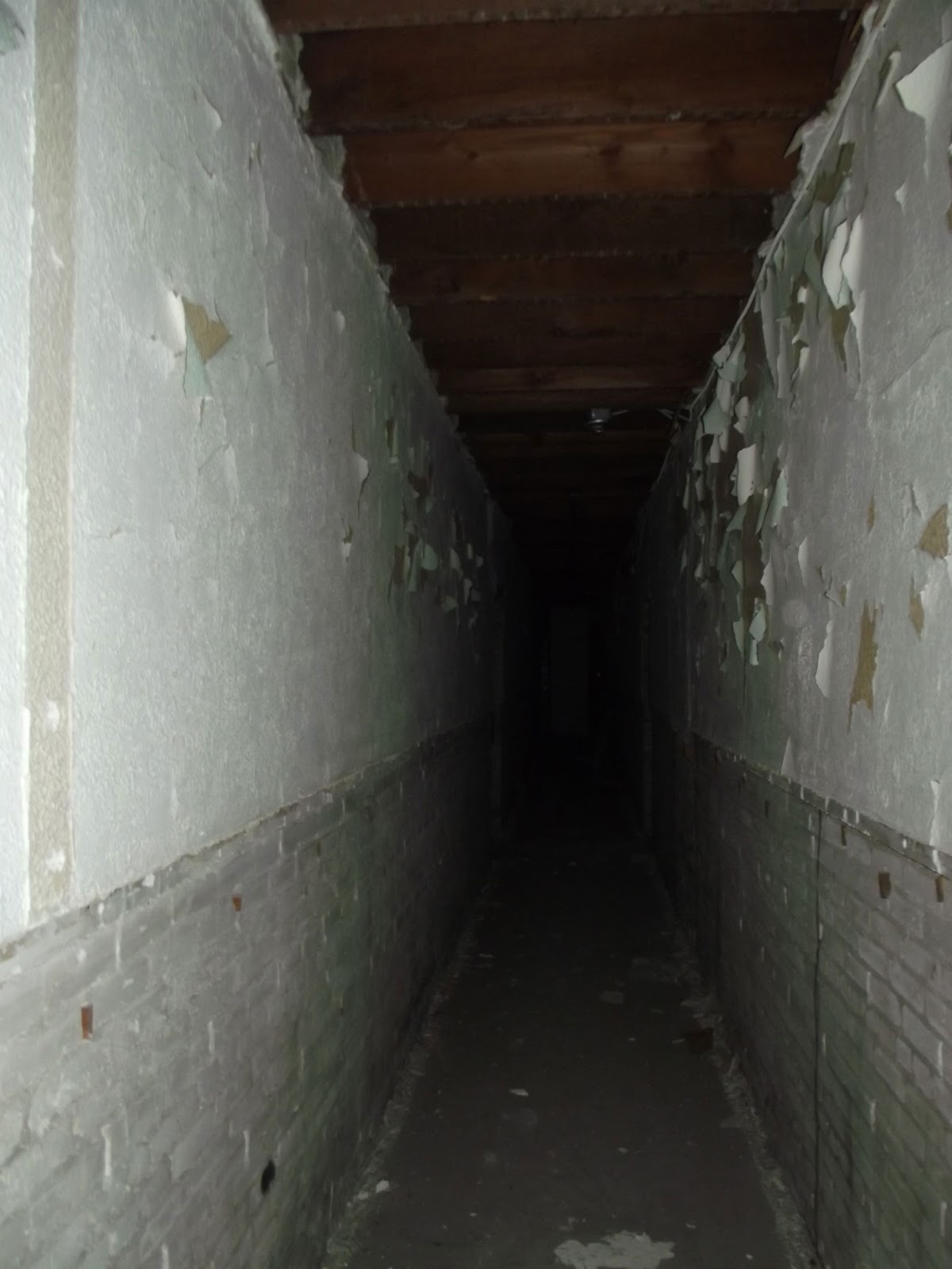 Demon Hotel: COMING SOON! DEMON HOTEL EXCLUSIVE! FIRST PIX FROM INSIDE ...