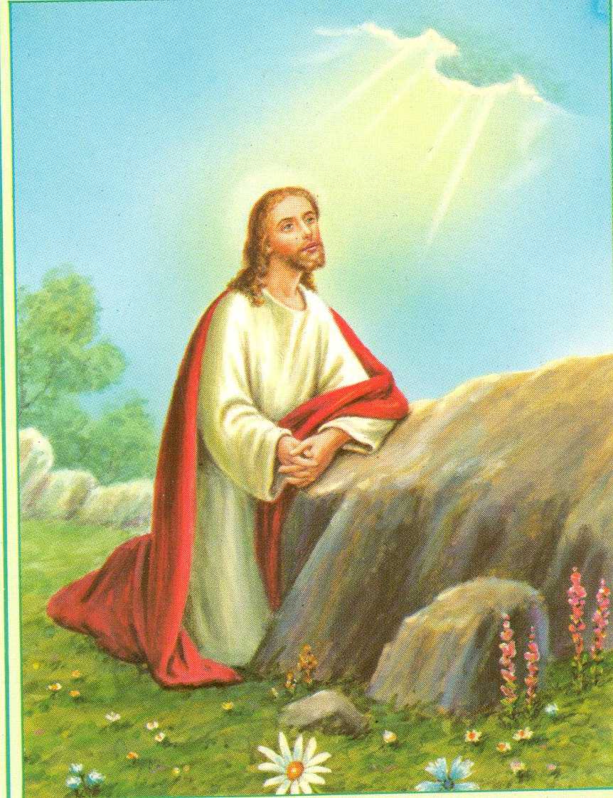 DIVINO MENSAJE 2019: julio 2014