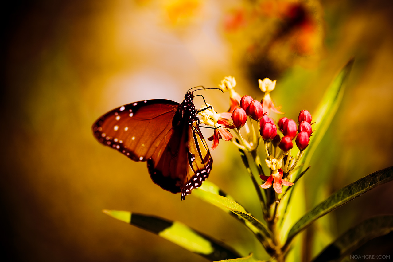 Beautiful World : Fresh Collection of Amazing, Awesome and Funny Pics