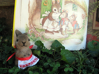 Musings at Dream Cottage: Meet Martha B. Rabbit