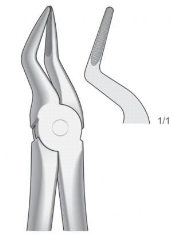 Diari de competències i capacitats de David Salas: Tipus de fòrceps