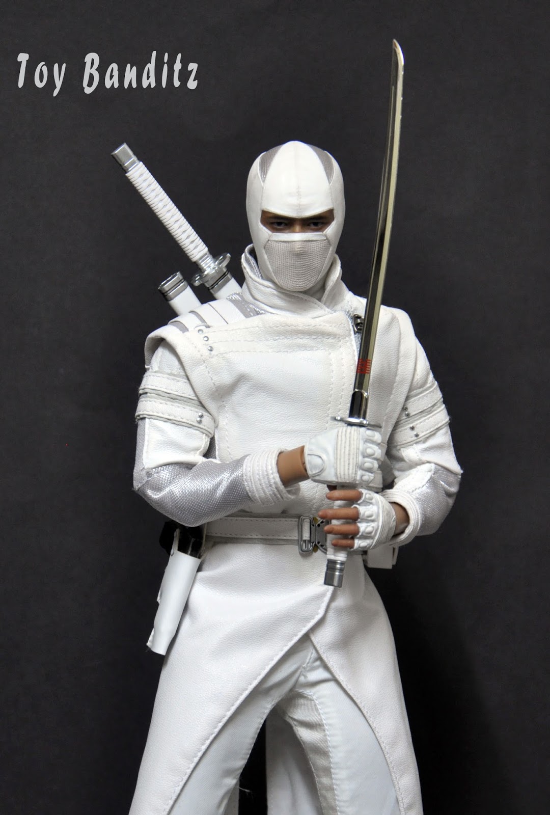 toy banditz: STORM SHADOW BY HOT TOYS PART 2