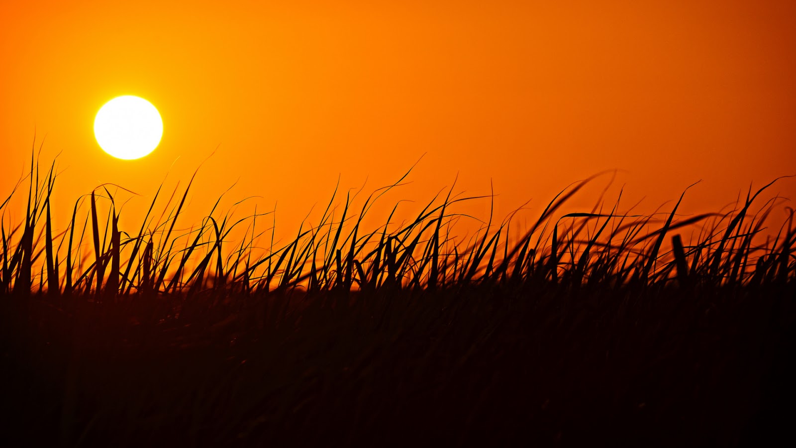 Wallpapers sol pack 5