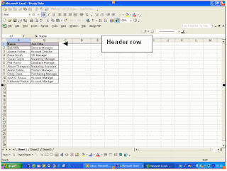 Mitchell sp11tca-2: Header Row