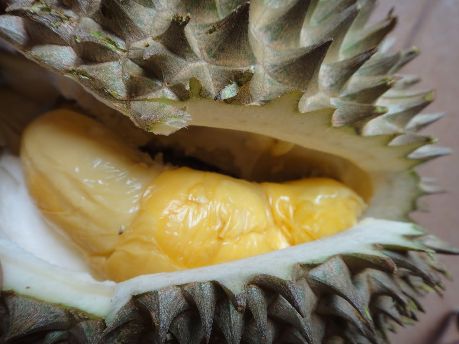 Durian Junjung sudah mariiiii....