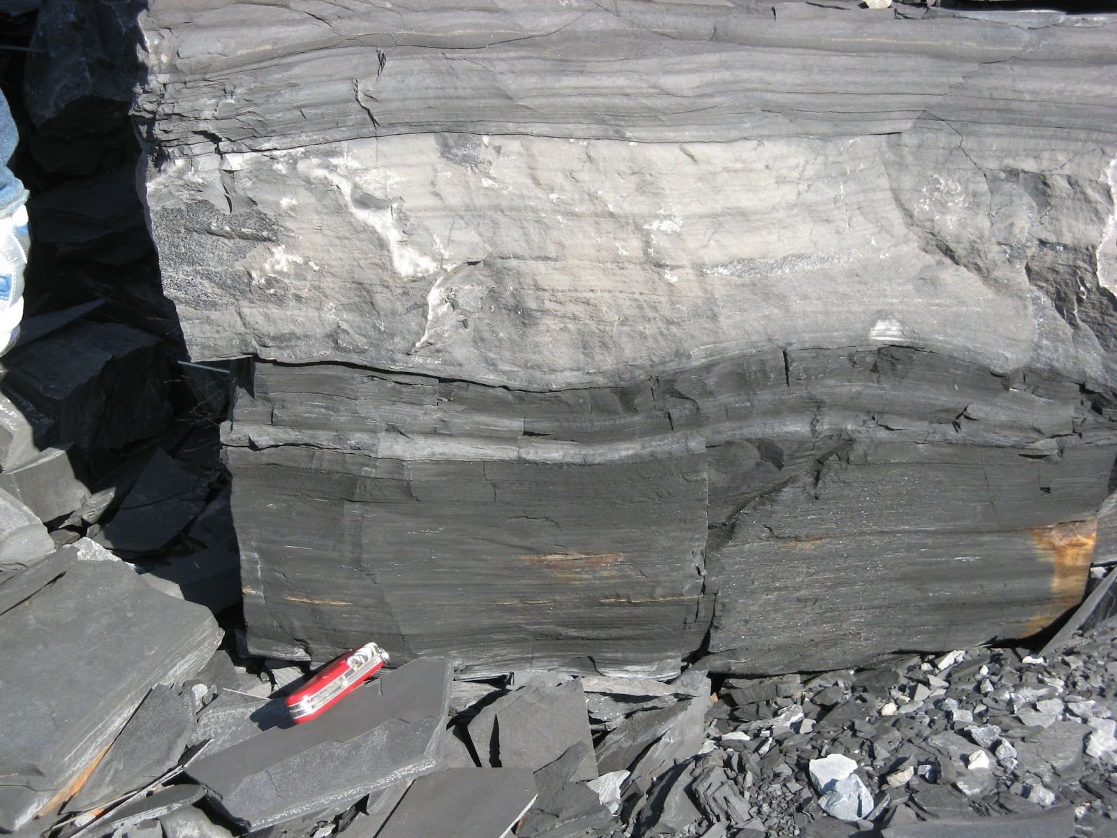 SHALE GAS: HARAPAN BARU BAHAN BAKAR MASA DEPAN?