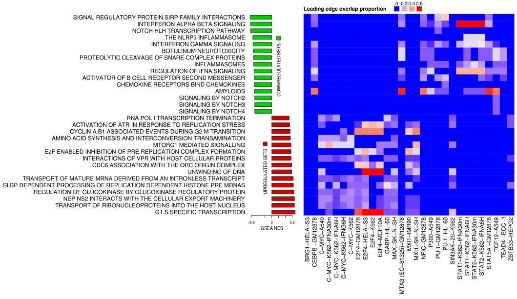 Introducing the ENCODE Gene Set Hub