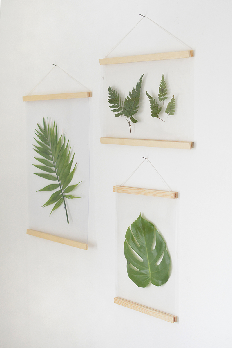 DIY botanical picture frames — Caroline Burke | Burkatron