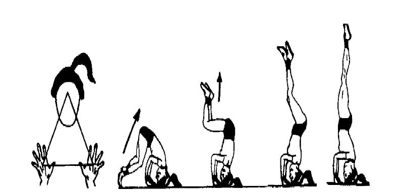 introducción a la gimnasia : Gesto técnico Invertida con apoyo de cabeza