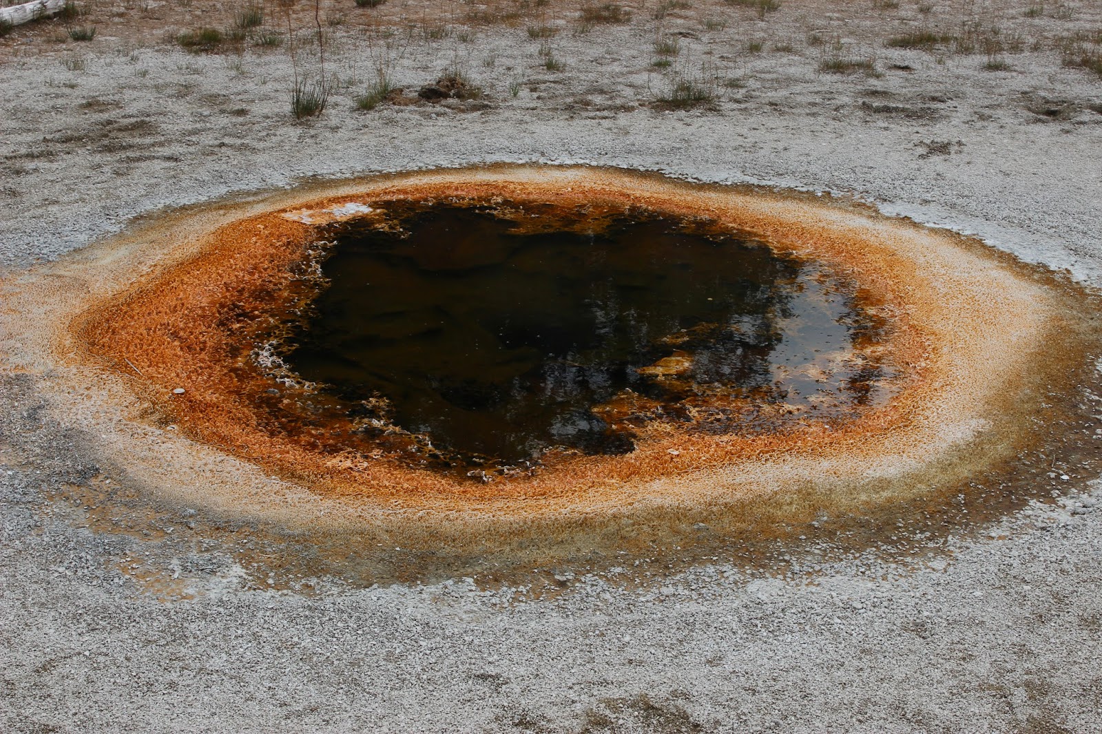 Patio Boat: The Big Road Trip: Yellowstone - A Walk along the Upper ...