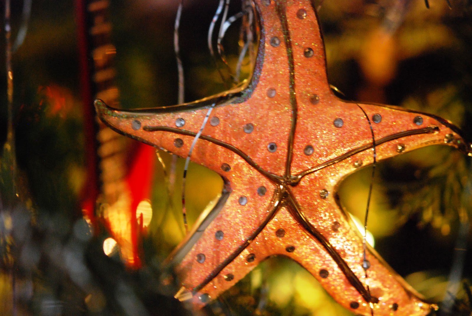 CupCakes and CrabLegs: The Simple Joy of A Southern Christmas
