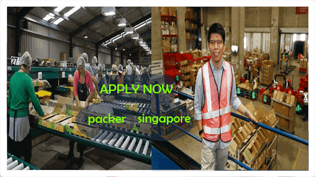 Fruit Packer offers in singapore