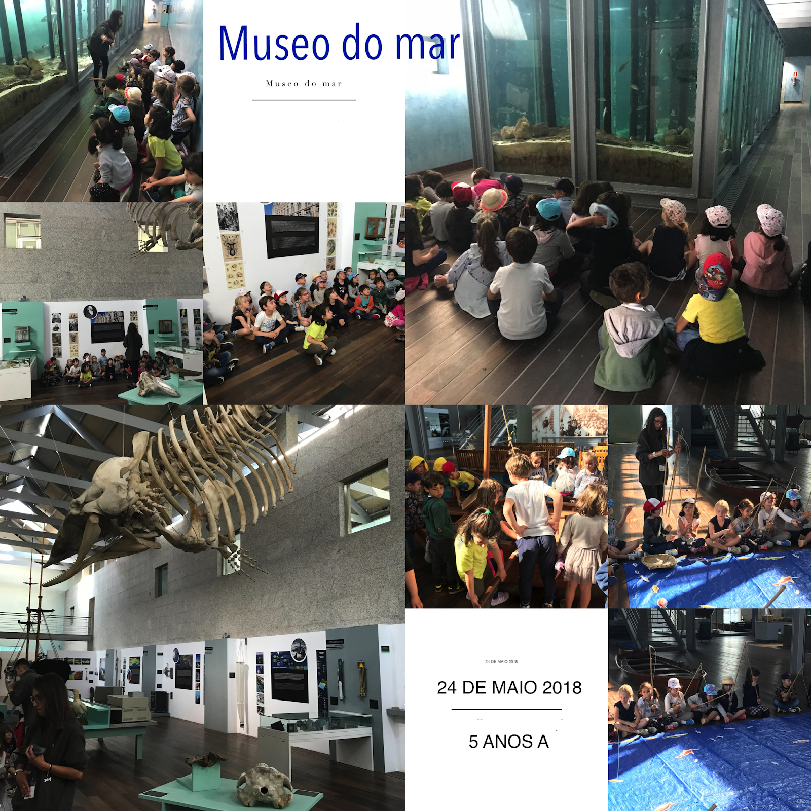 PEQUES NO COLE: MUSEO DO MAR