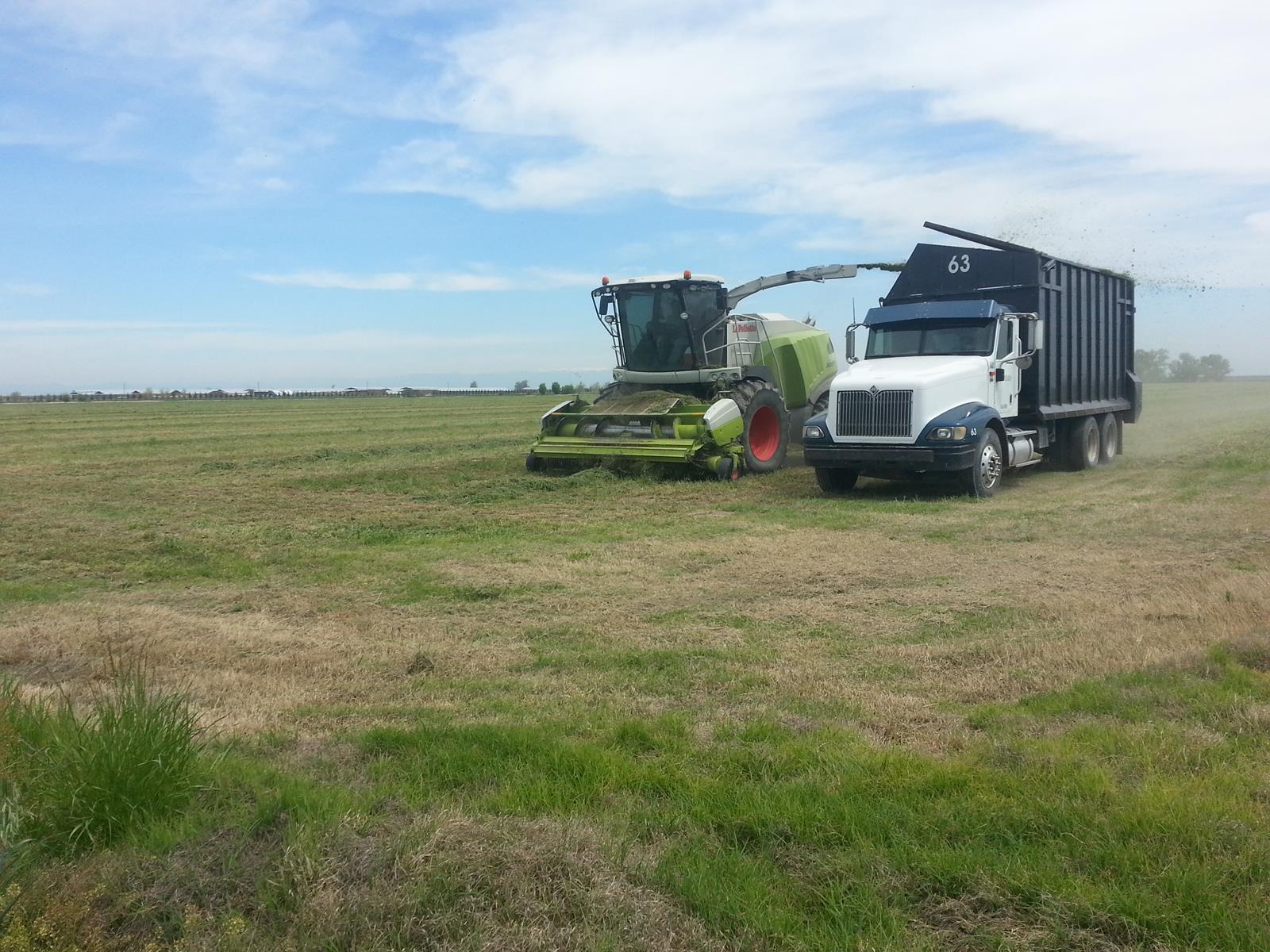 Sustainable Ag: A View from the Field