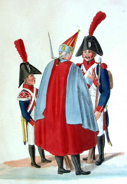 Les Grognards "Napoleonic Military History"